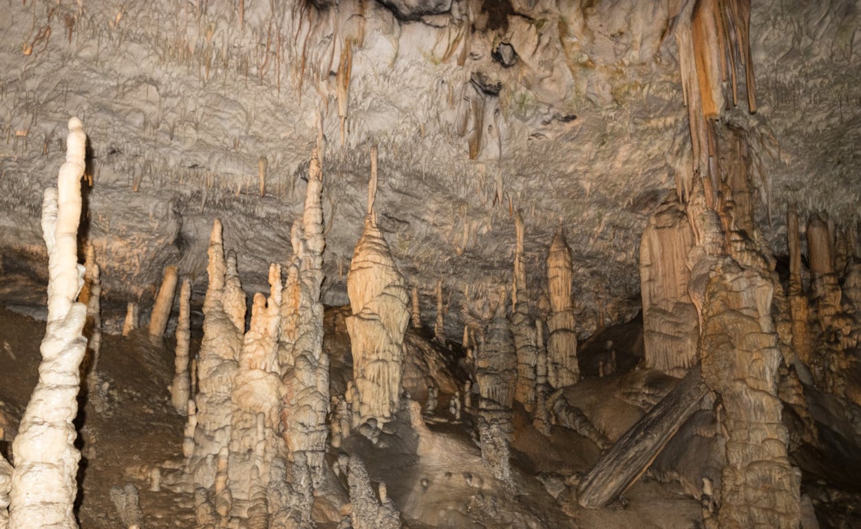 Visita alle grotte di Postumia in Slovenia: consigli e informazioni ...
